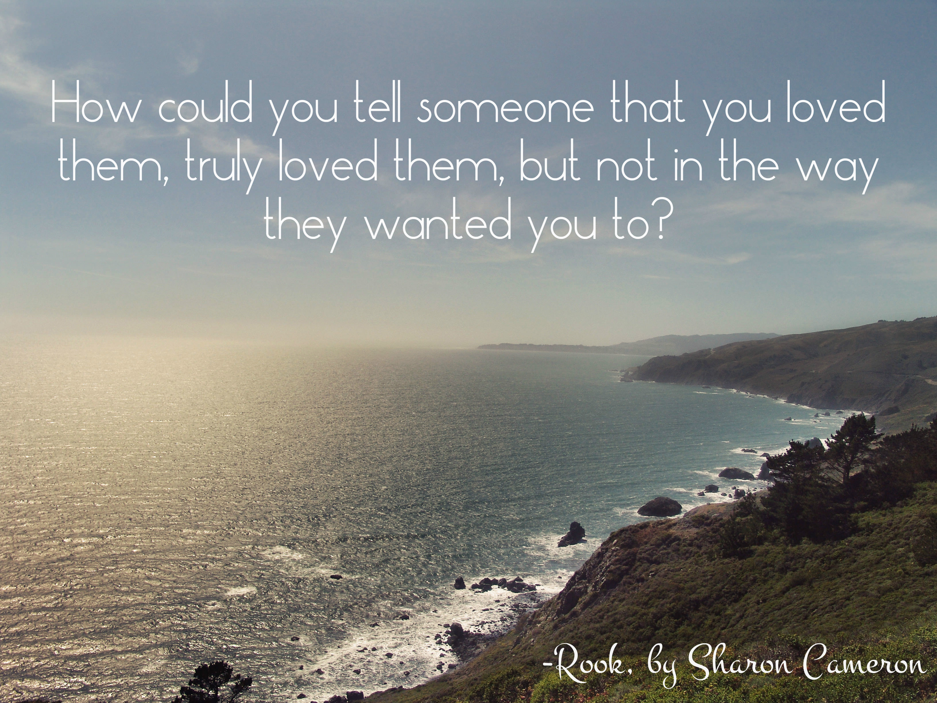 rook-quote | Amy C. Shaw